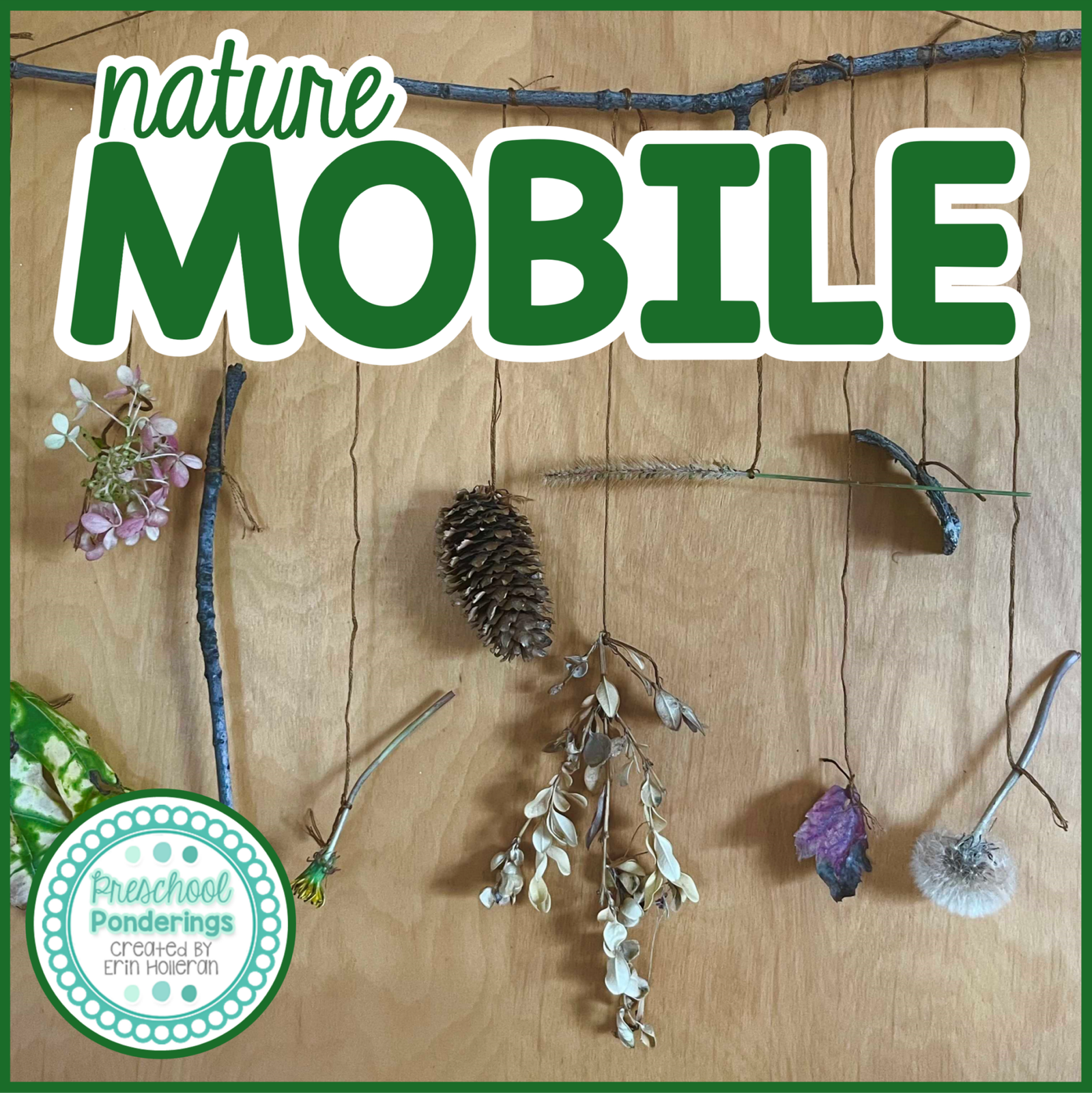 Preschool Nature Mobile