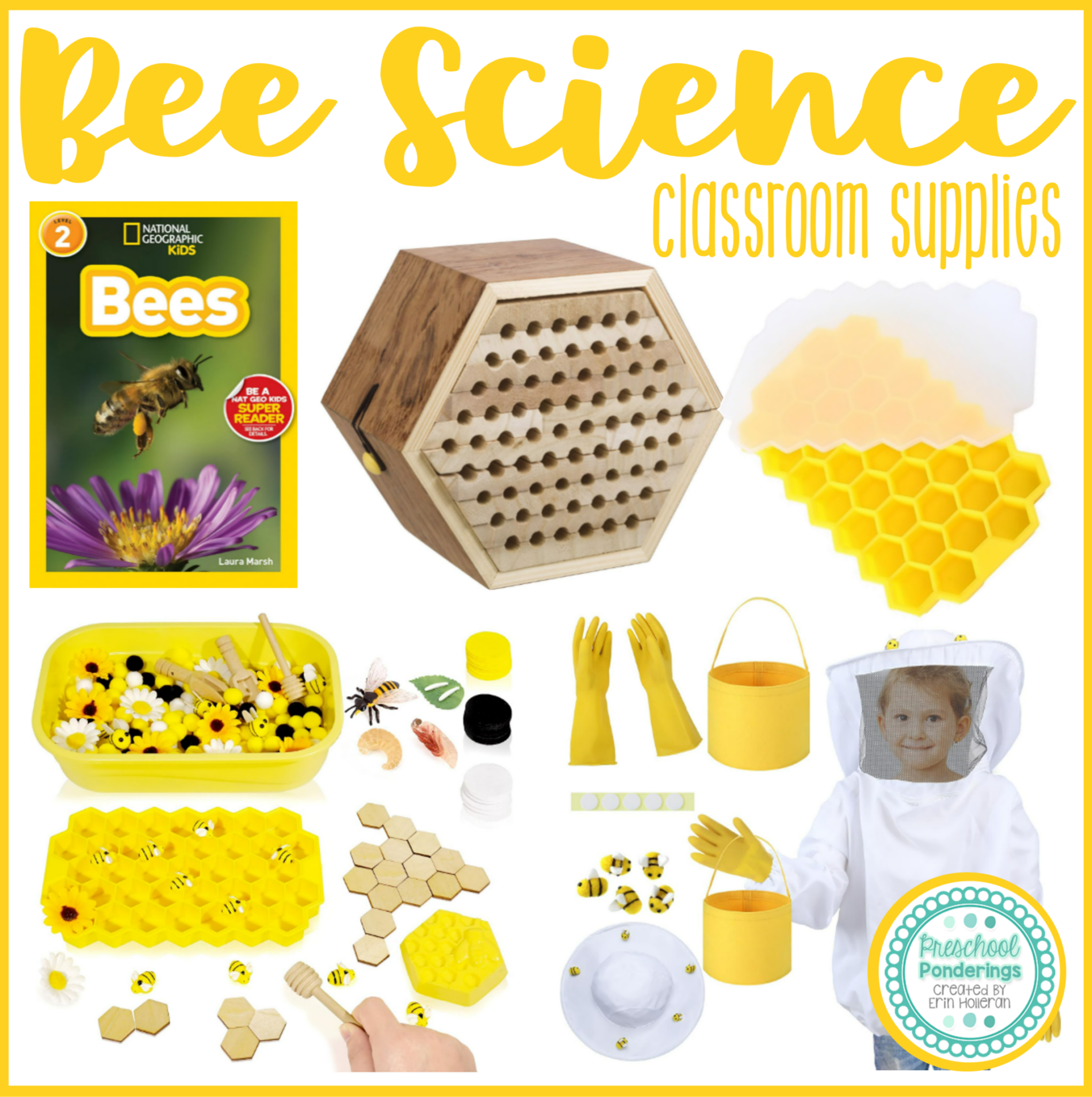 Bee themed products for the classroom - Bee Science Materials